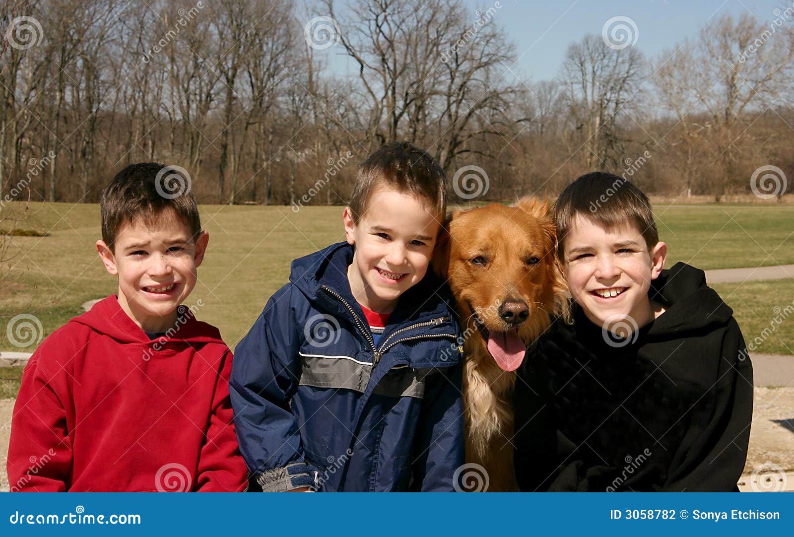 Boys and the Dog stock photo. Image of laugh, dogs, domestic - 3058782