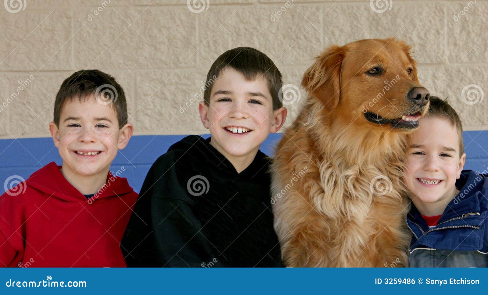 Boys and the Dog stock photo. Image of childhood, american - 3259486