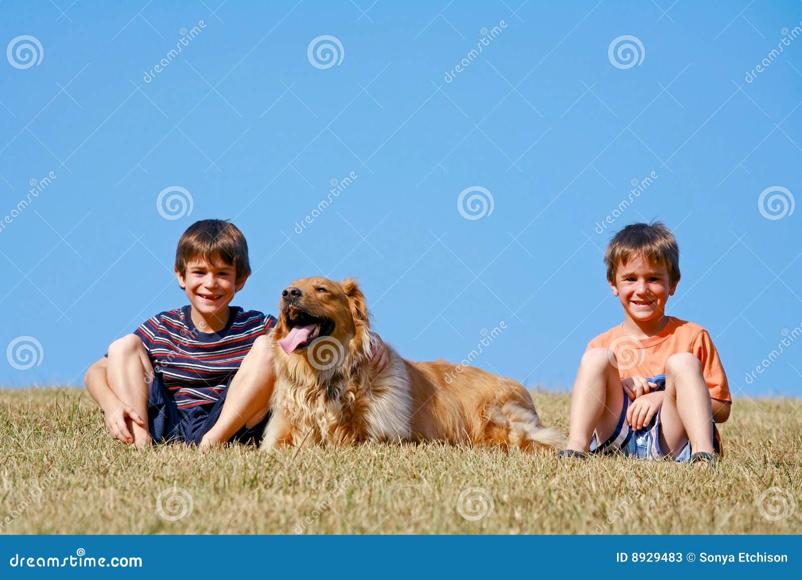 Boys and Dog stock image. Image of dogs, kids, brothers - 8929483