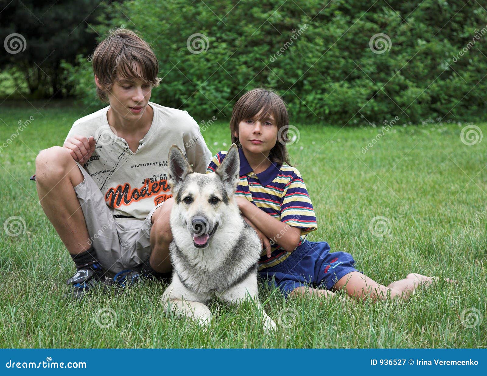 Boys with dog stock image. Image of lawn, happiness, friendship - 936527