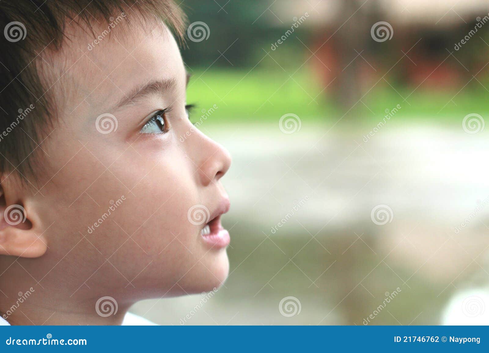 Boys Face Close-up, Side To Side Stock Photo - Image of children, green ...