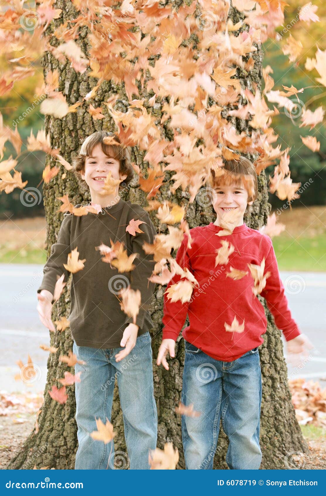 Boys in the Fall stock image. Image of cute, autumn, brother - 6078719