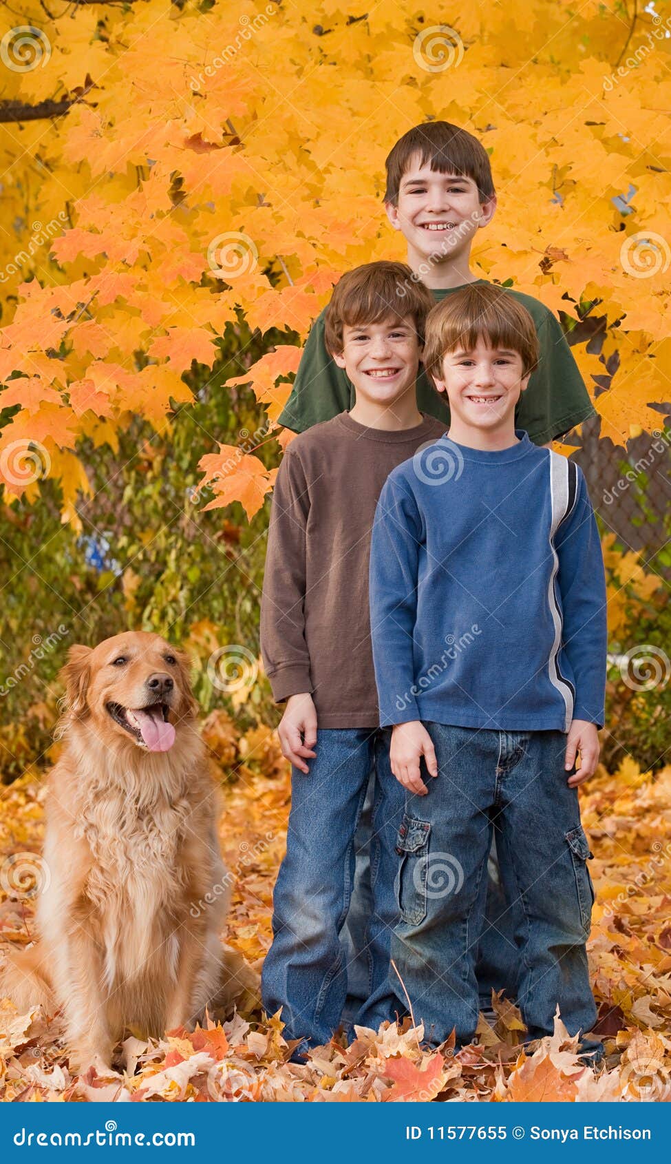 Boys in the Fall Leaves stock image. Image of autumn - 11577655