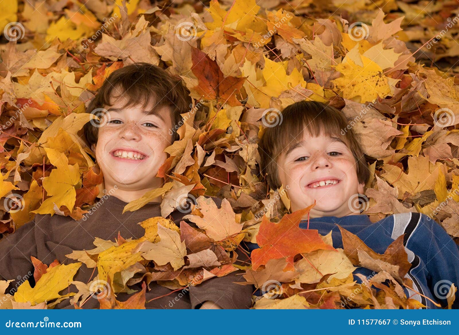 Boys in the Fall Leaves stock image. Image of child, laying - 11577667