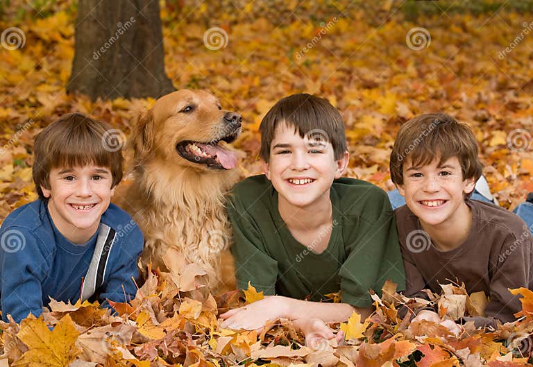 Boys in the Fall Leaves stock photo. Image of leaves - 11577702