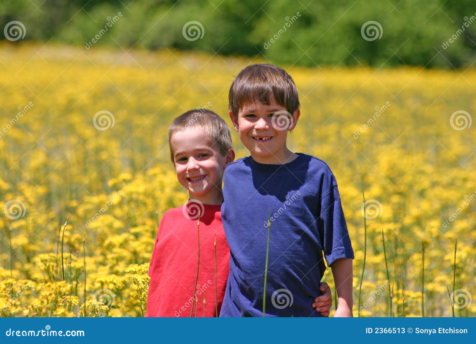Boys in a flower Field stock image. Image of happiness - 2366513
