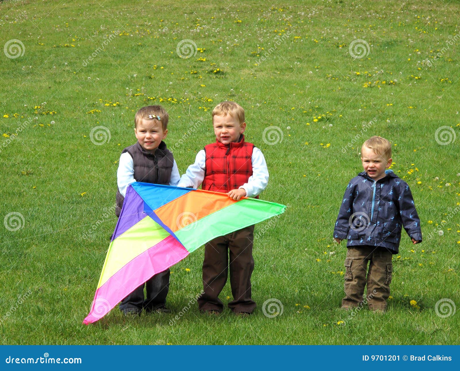 Boys flying kite stock image. Image of sports, grass, ready - 9701201