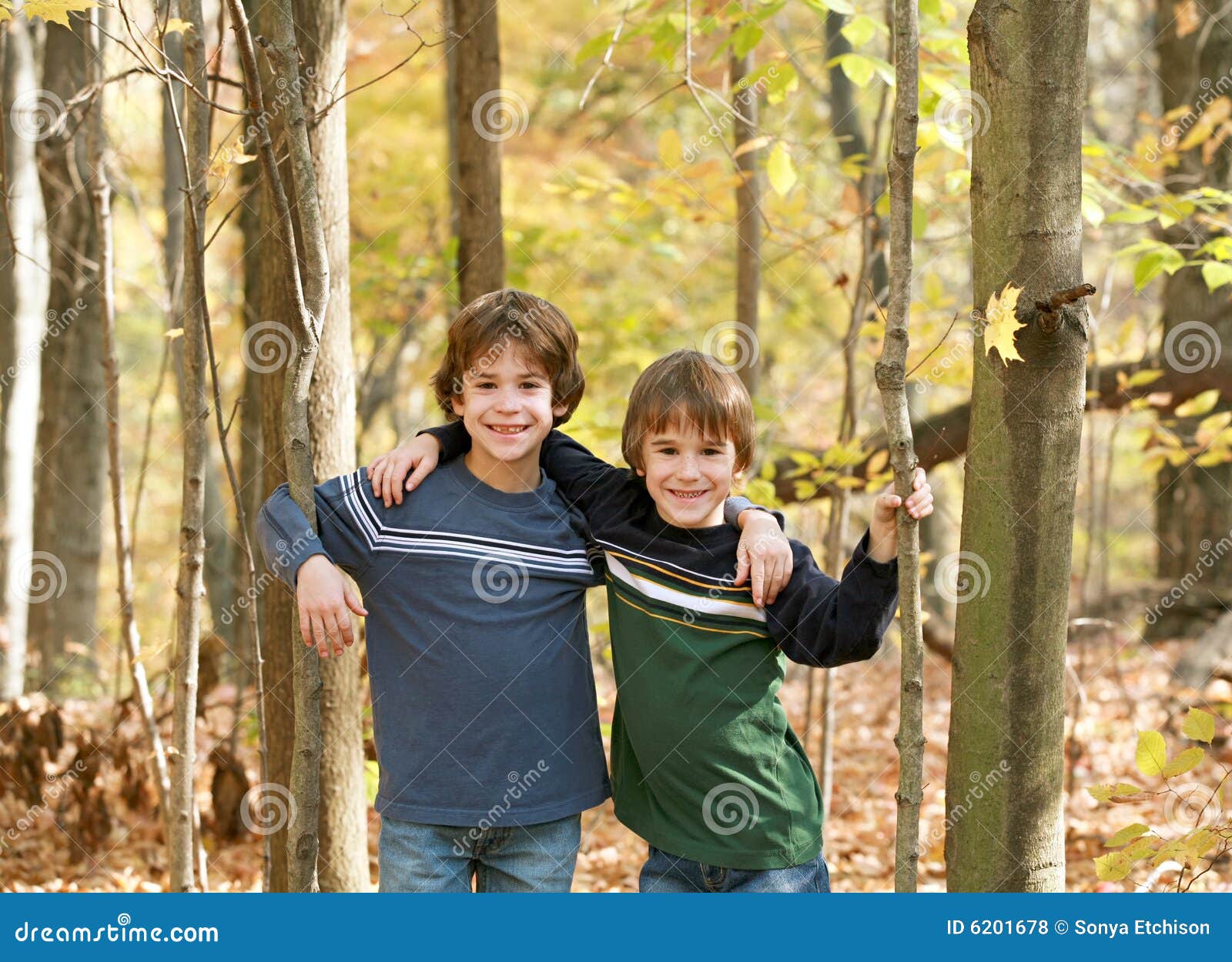 Boys in the Forest stock photo. Image of american, brothers - 6201678