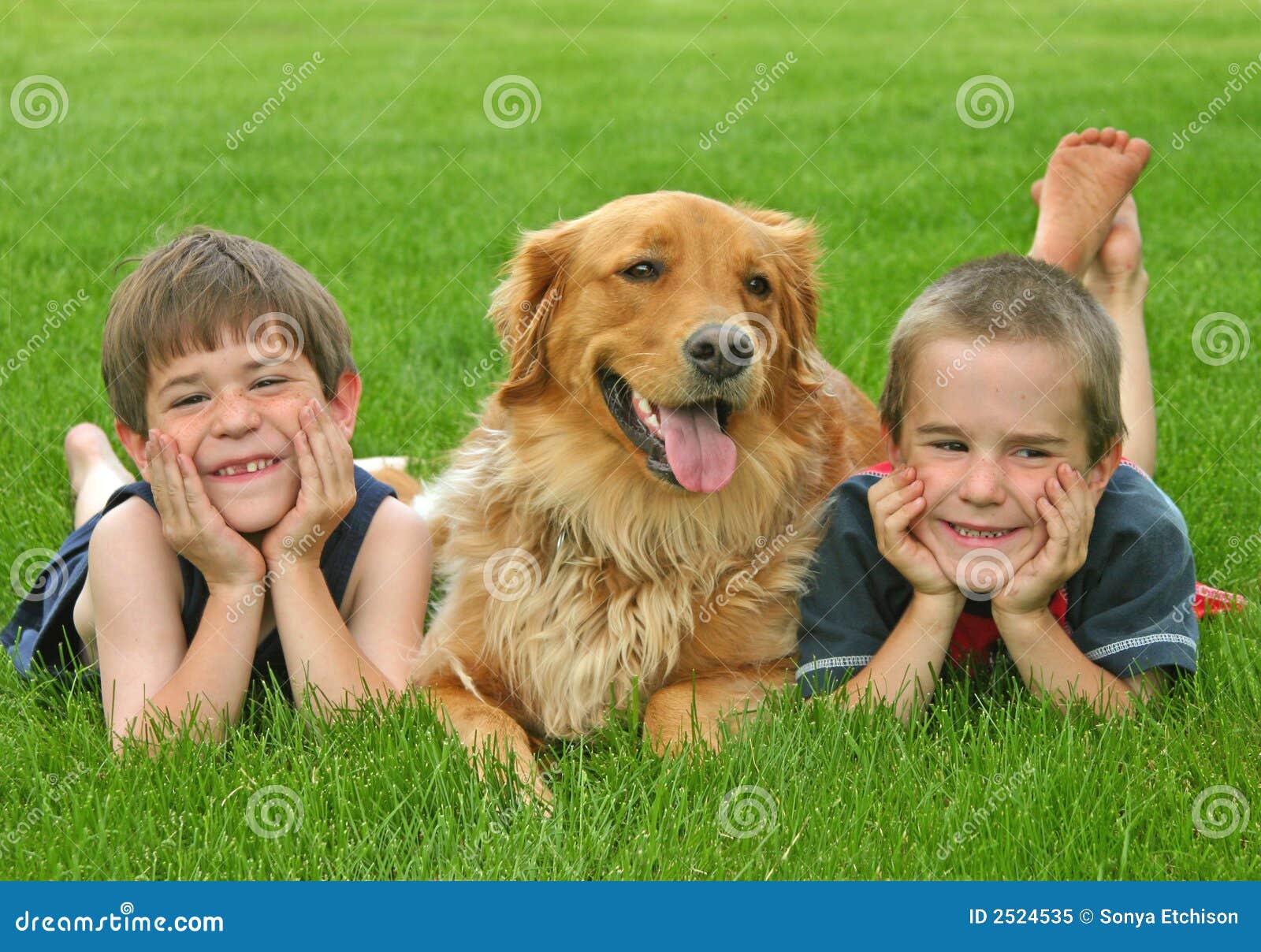 Boys and Golden Retriever stock image. Image of boys, animals - 2524535