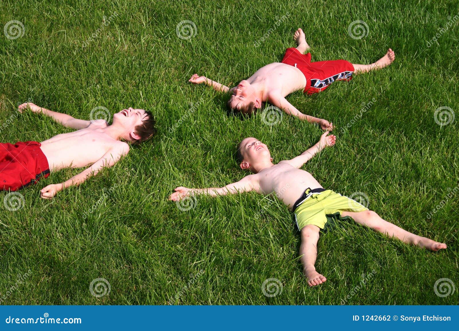 Boys in Grass stock photo. Image of cheerful, boys, brothers - 1242662