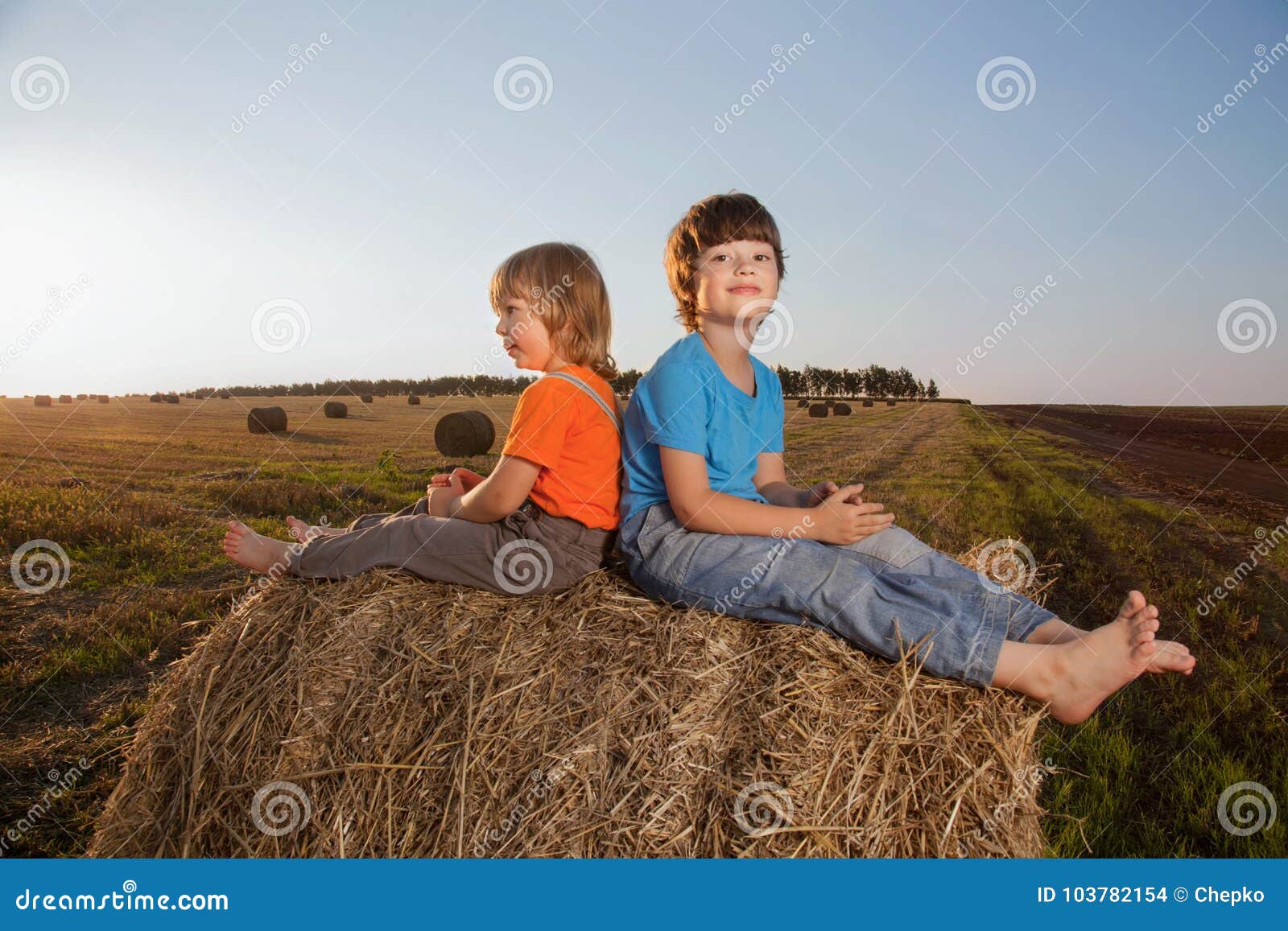 2 Boys in a Haystack in the Field Stock Photo - Image of haystack, cute ...