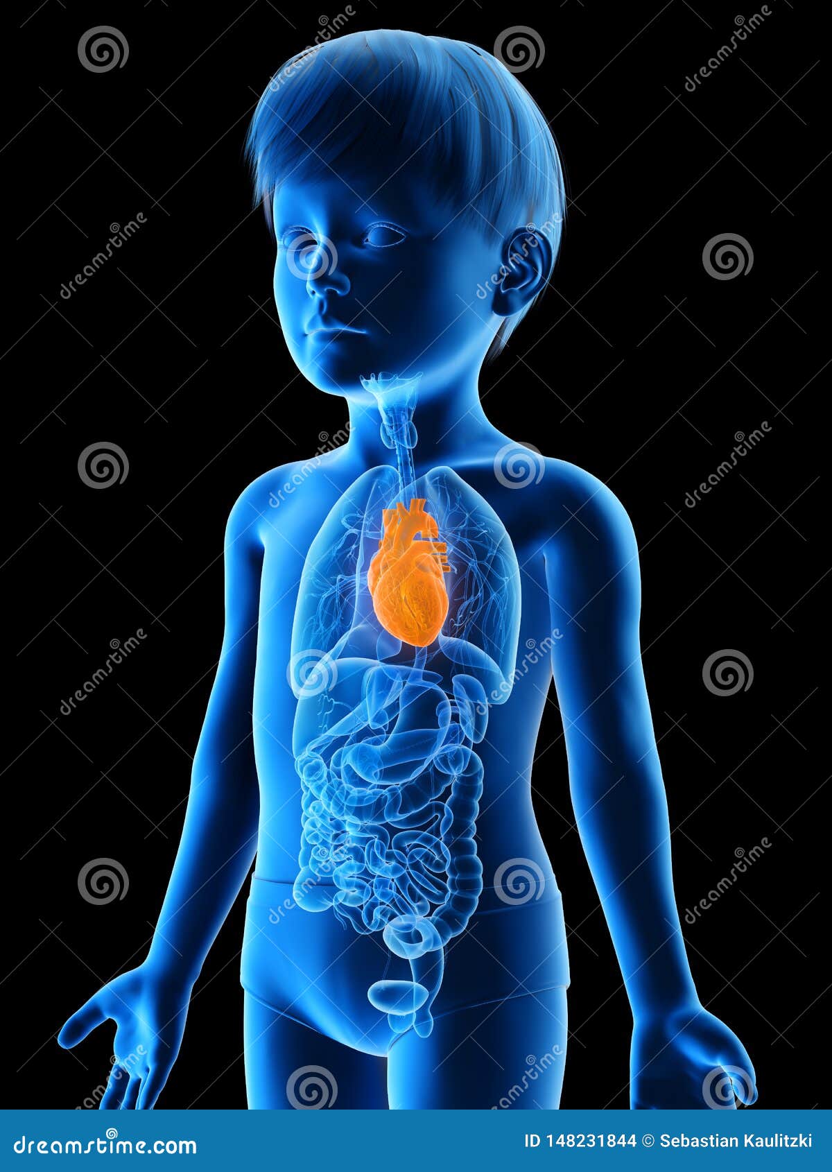 A boys heart stock illustration. Illustration of rendering - 148231844