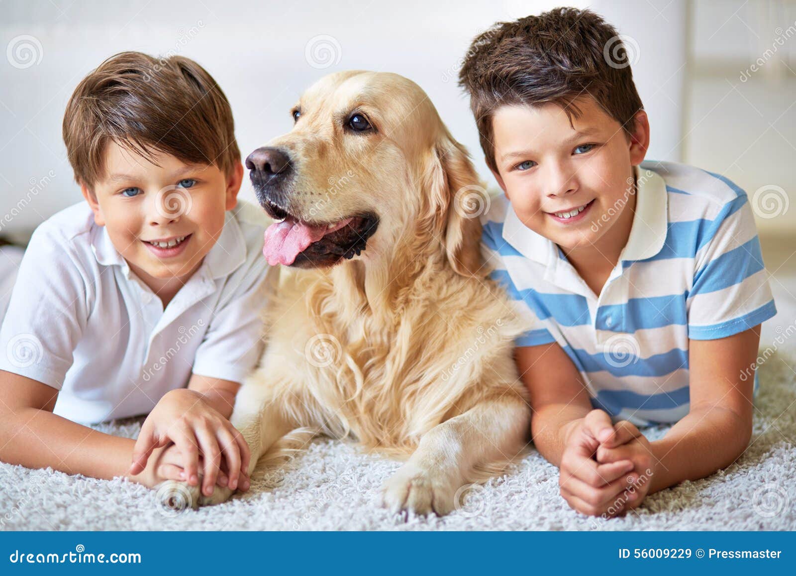Boys and labrador stock image. Image of breed, handsome - 56009229