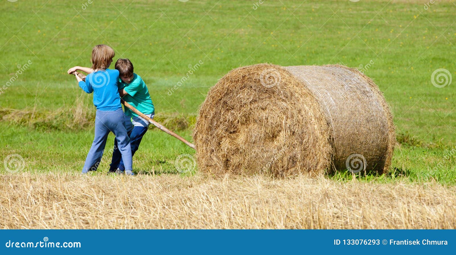 Boys Moving Bale of Hay with Stick As a Lever Stock Image - Image of ...