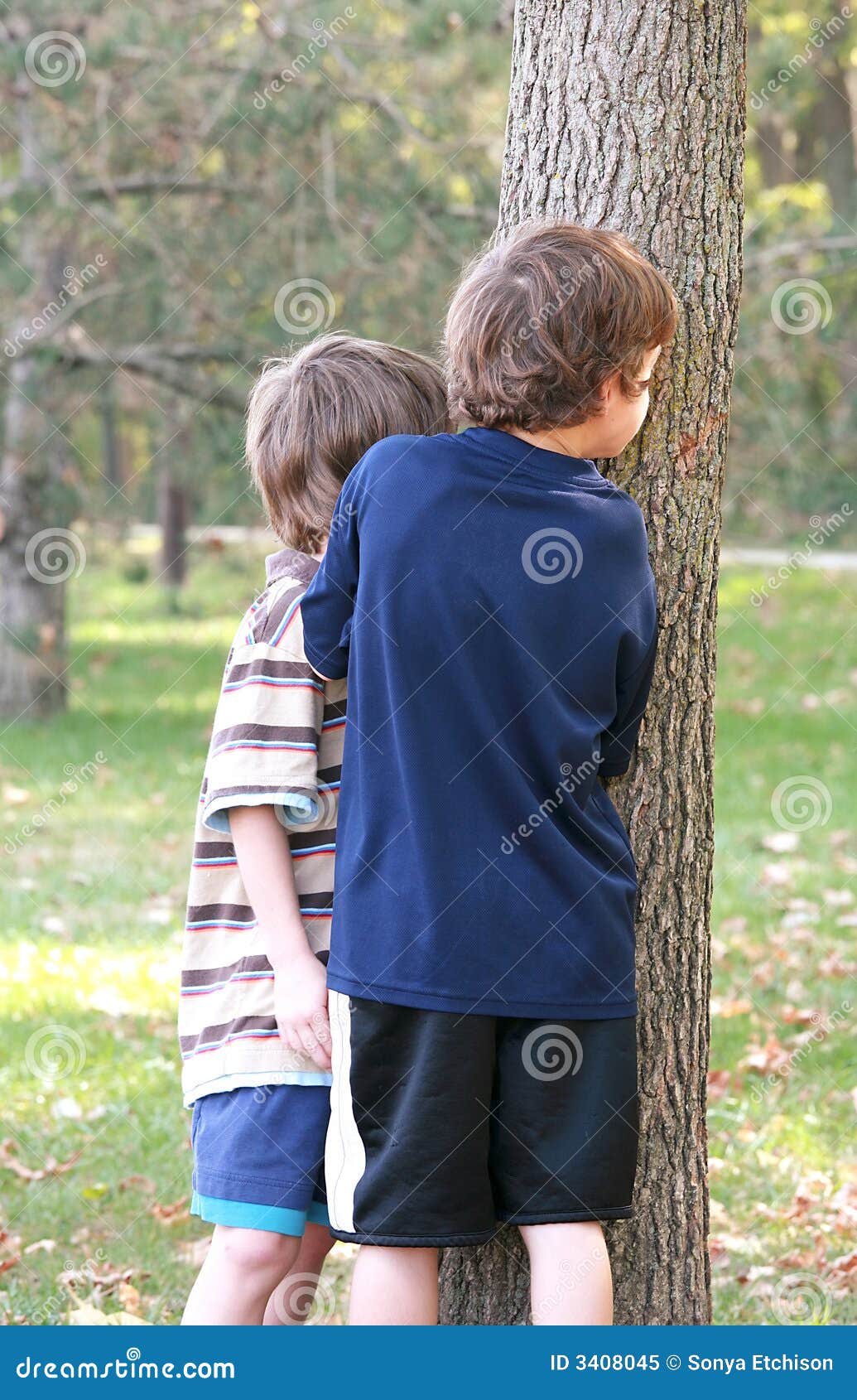 Boys Peeking Around Tree stock image. Image of hide, game - 3408045