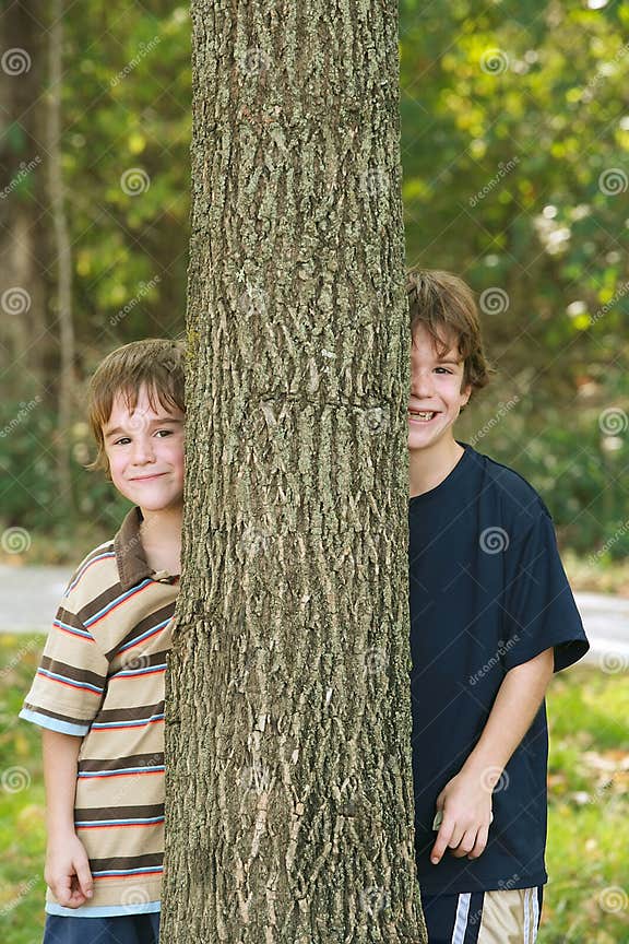 Boys Peeking Around a Tree stock photo. Image of life - 4464210