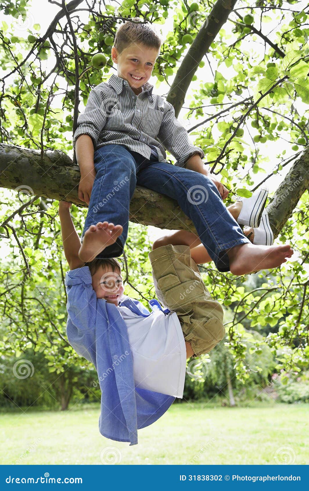 Boys Playing on Tree Branch Stock Photo - Image of length, garden: 31838302