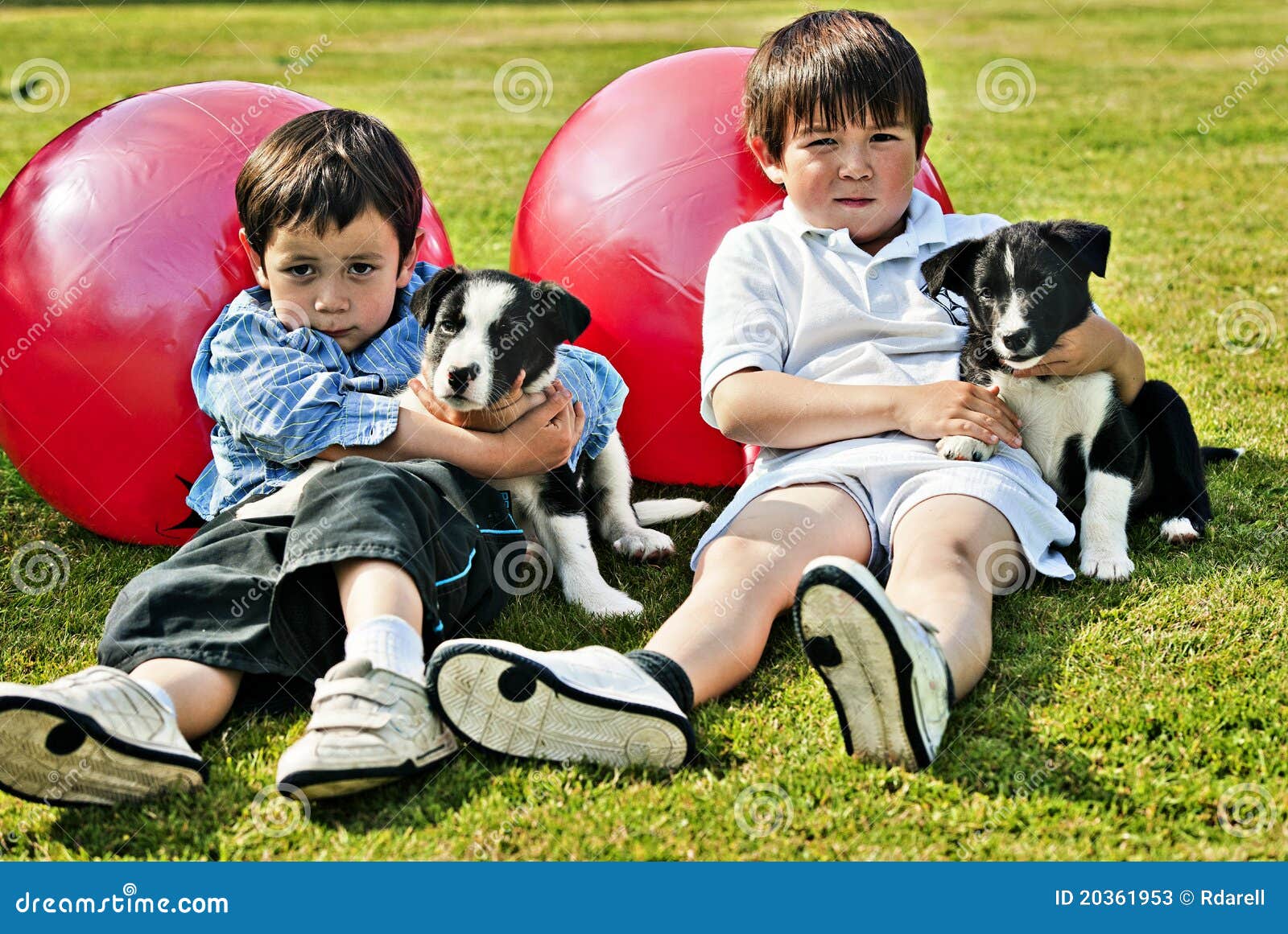 Boys with Puppy pets stock image. Image of carnivore - 20361953