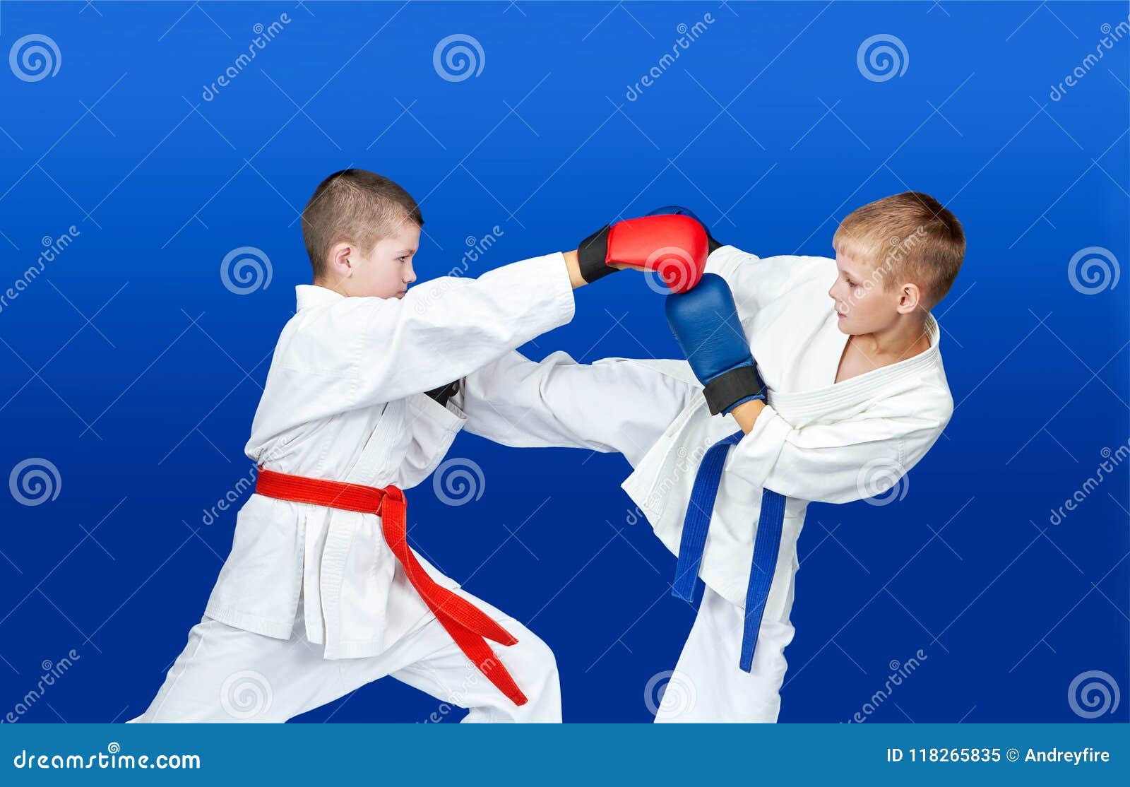 Boys with Red and Blue Belts are Hitting Blows Arm and Leg Stock Image ...