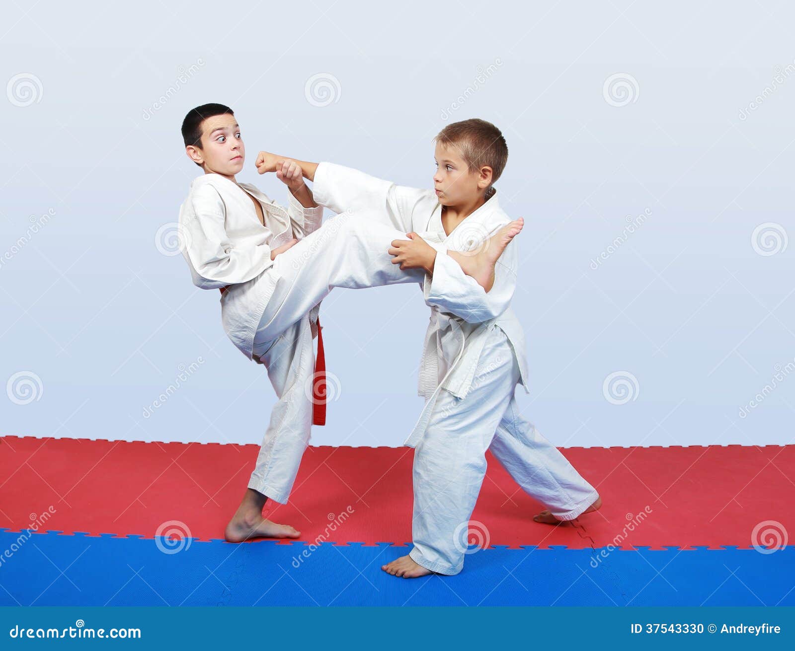 Boys with a Red and White Belt Do Paired Exercises Karate Stock Photo ...