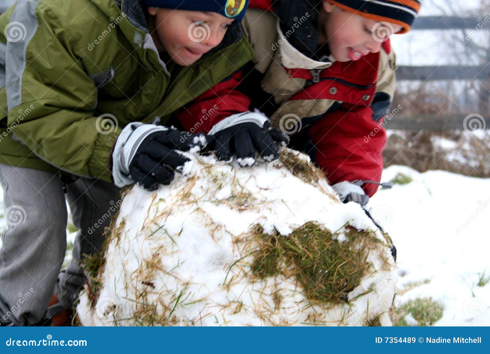Boys rolling a Snowball stock image. Image of winter, activity - 7354489