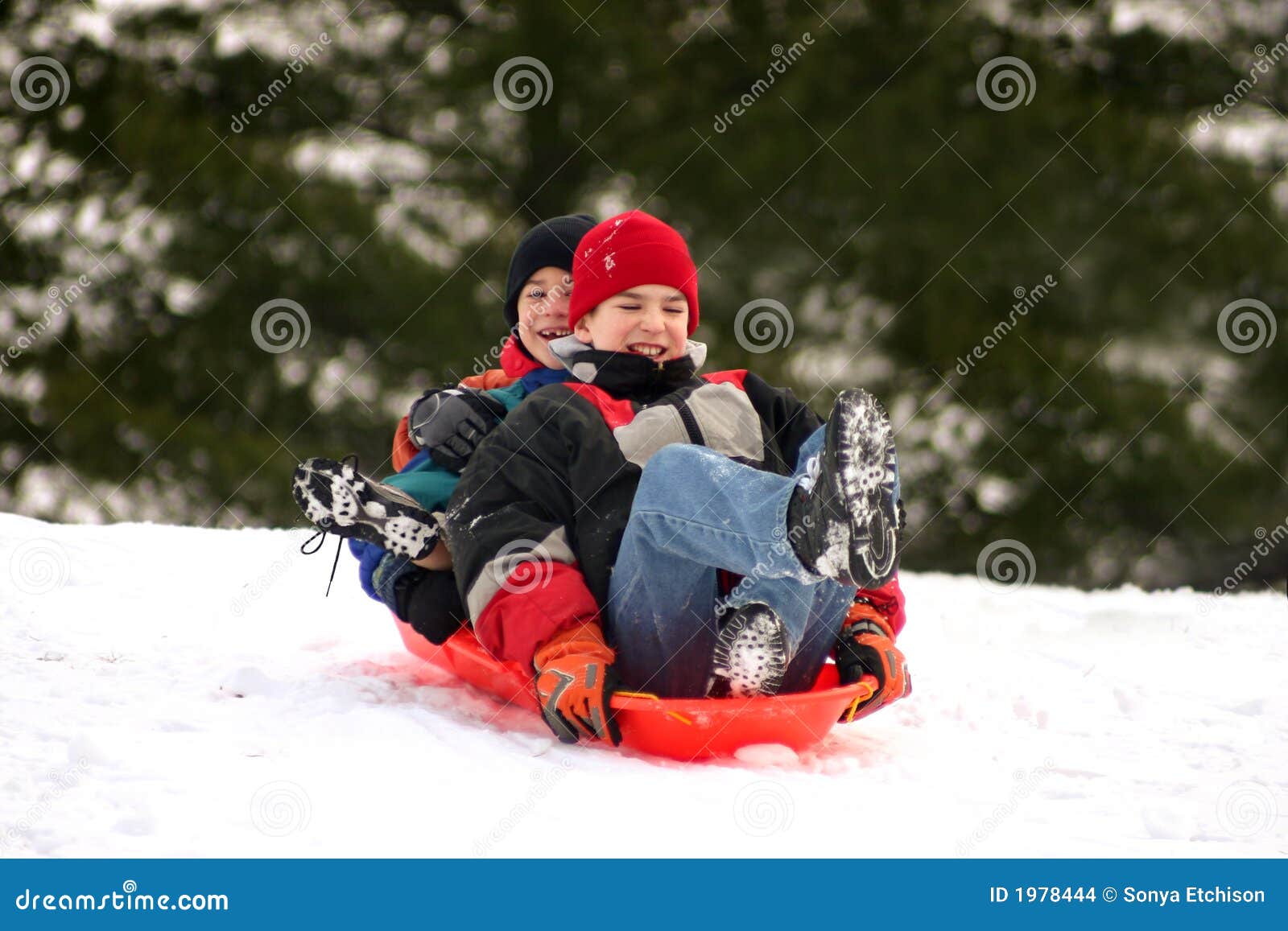 Boys Sledding stock photo. Image of happy, extreme, families - 1978444