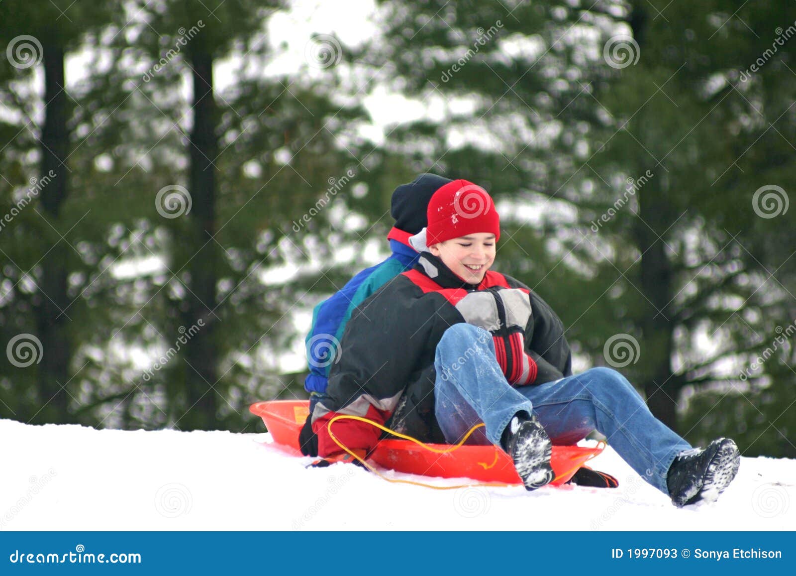 Boys Sledding stock image. Image of boys, friendship, friends - 1997093