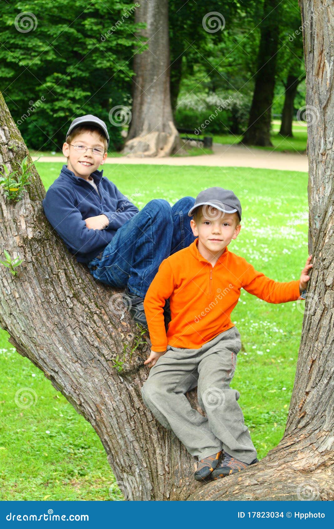 Boys in a Tree stock photo. Image of playful, childhood - 17823034