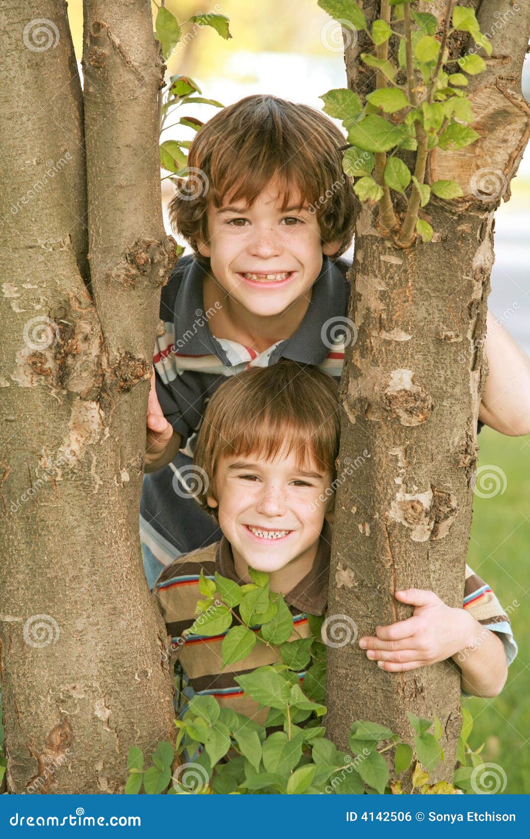 Boys in a Tree stock photo. Image of domestic, cheerful - 4142506