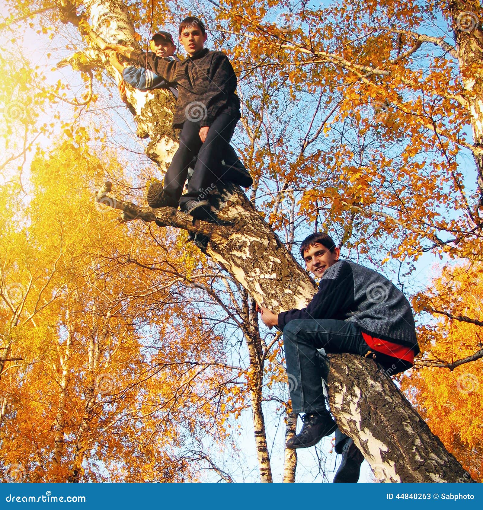 Two Boys Beside Tree Royalty-Free Stock Photo | CartoonDealer.com #50760291