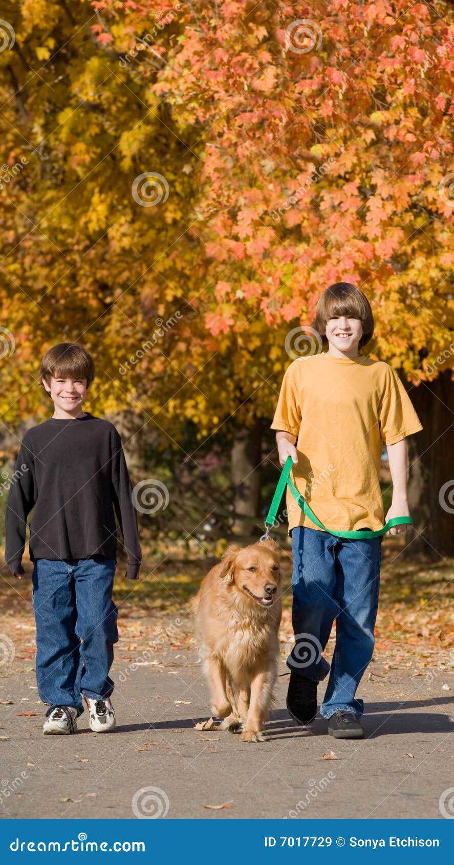 Boys Walking the Dog stock image. Image of american, little - 7017729