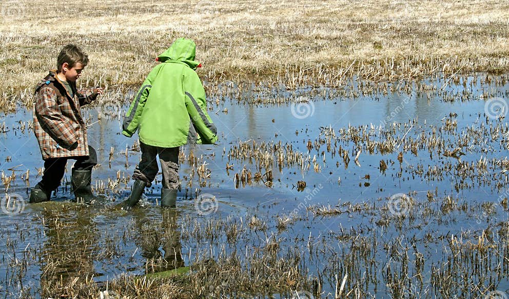 Boys Walking Thru the Swamp Stock Photo - Image of boys, swamp: 9186650