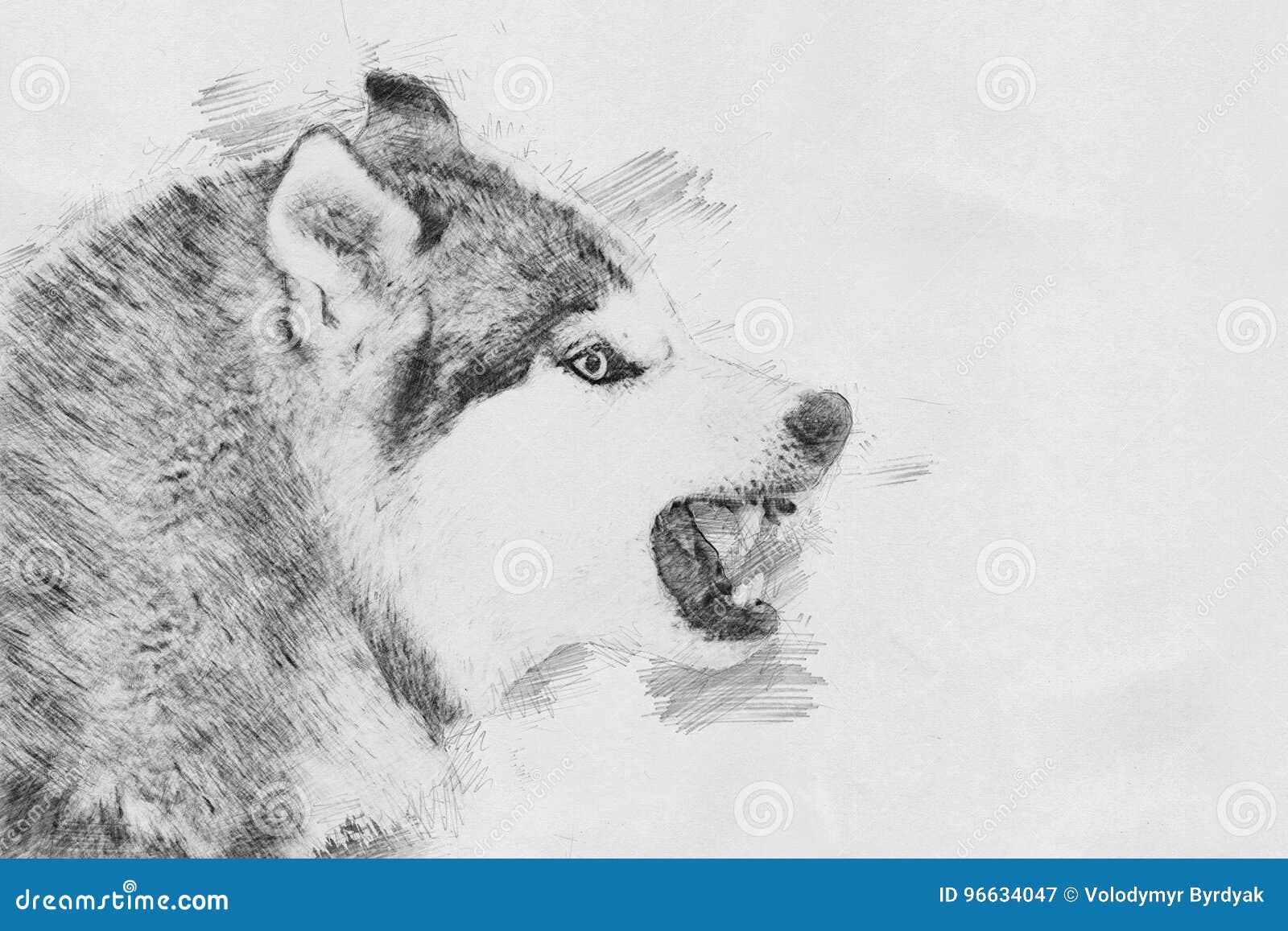 Boze Hond Schets Met Potlood Stock Illustratie - Illustration of hond ...