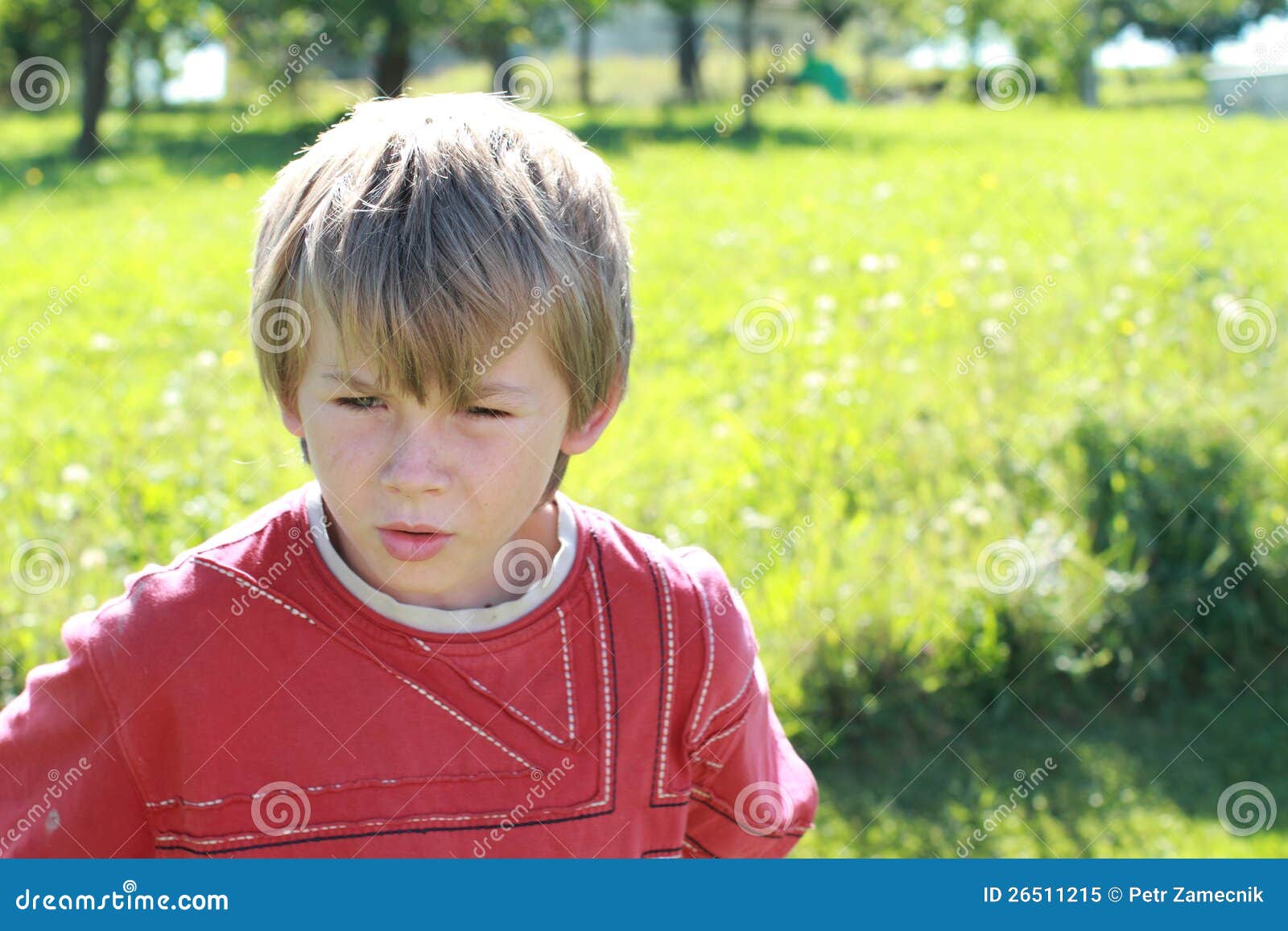 Boze jongen stock afbeelding. Image of weide, gras, kind - 26511215