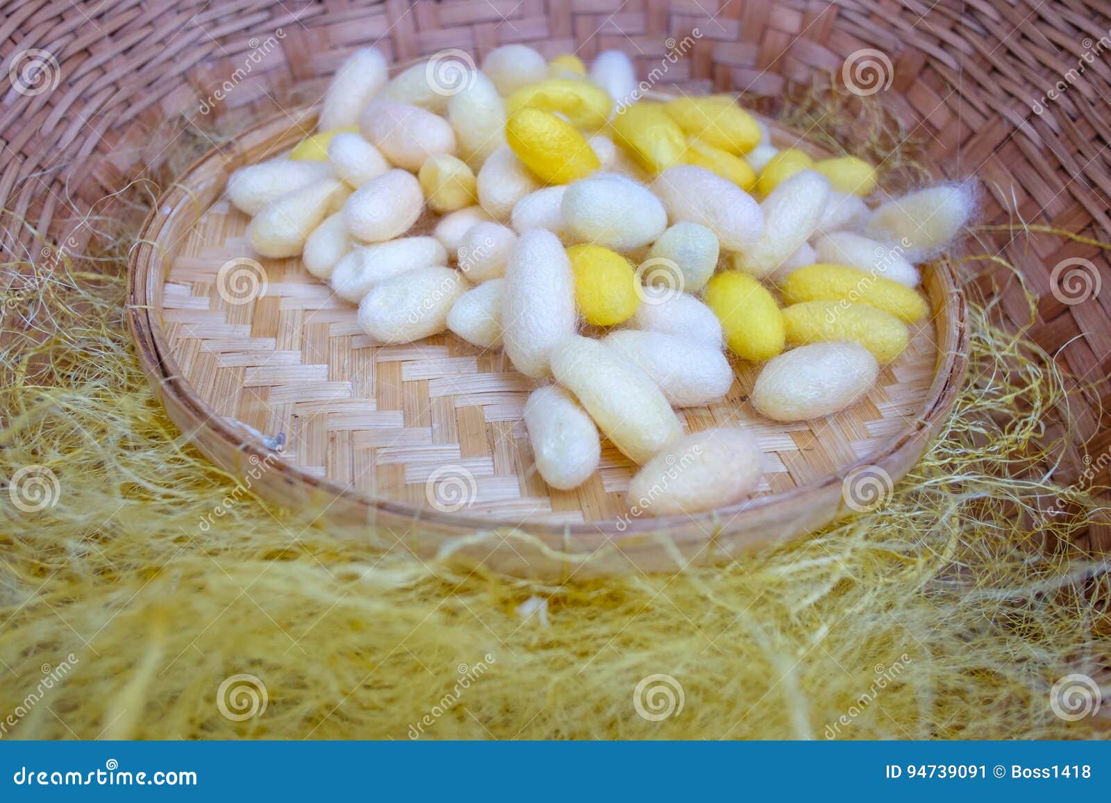 Bozzolo in un canestro immagine stock. Immagine di giallo - 94739091