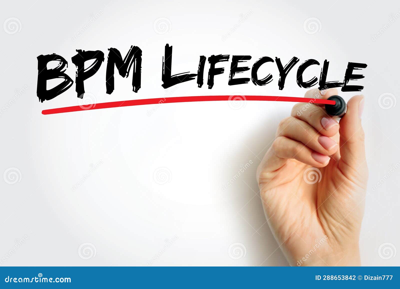BPM Lifecycle - Standardizes the Process of Implementing and Managing ...