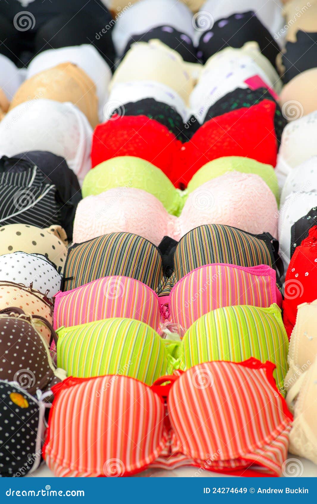 Bra stock image. Image of costume, lace, formalwear, counter - 24274649