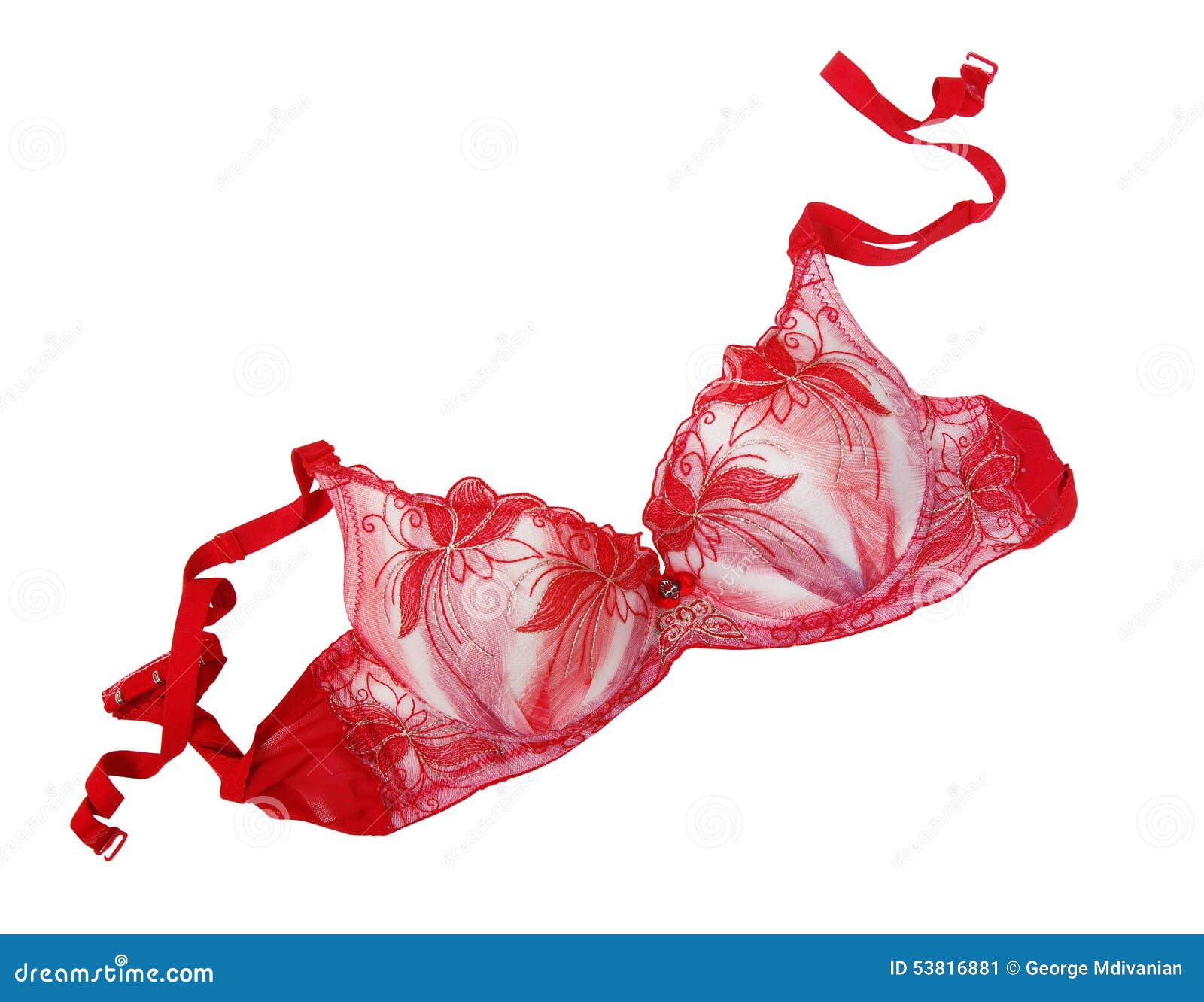 The bra stock image. Image of gift, body, desire, silk - 53816881