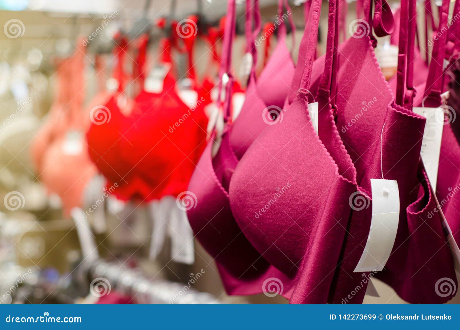 Bra on Hangers in the Store Stock Image - Image of hangers, romantic ...