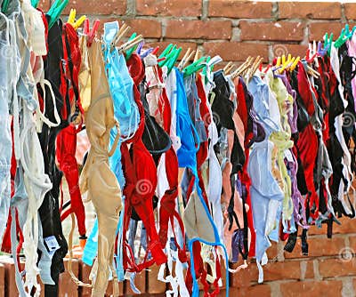 Bra on line stock image. Image of ribbon, drying, sensual - 6399641