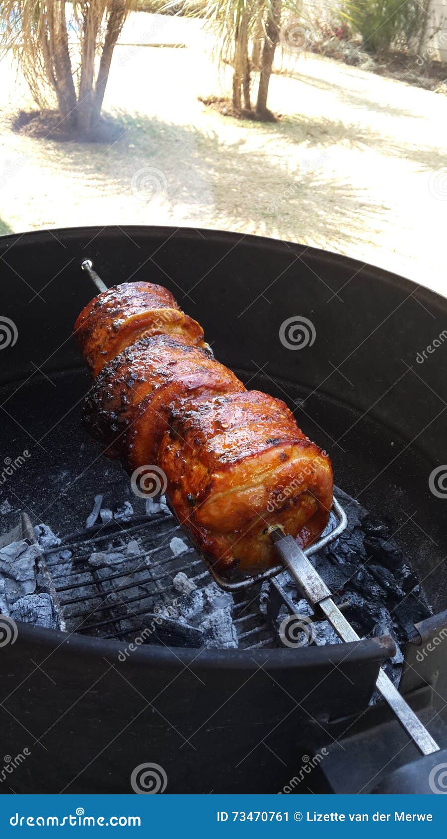 Braai stock image. Image of braai, african, meat, south - 73470761