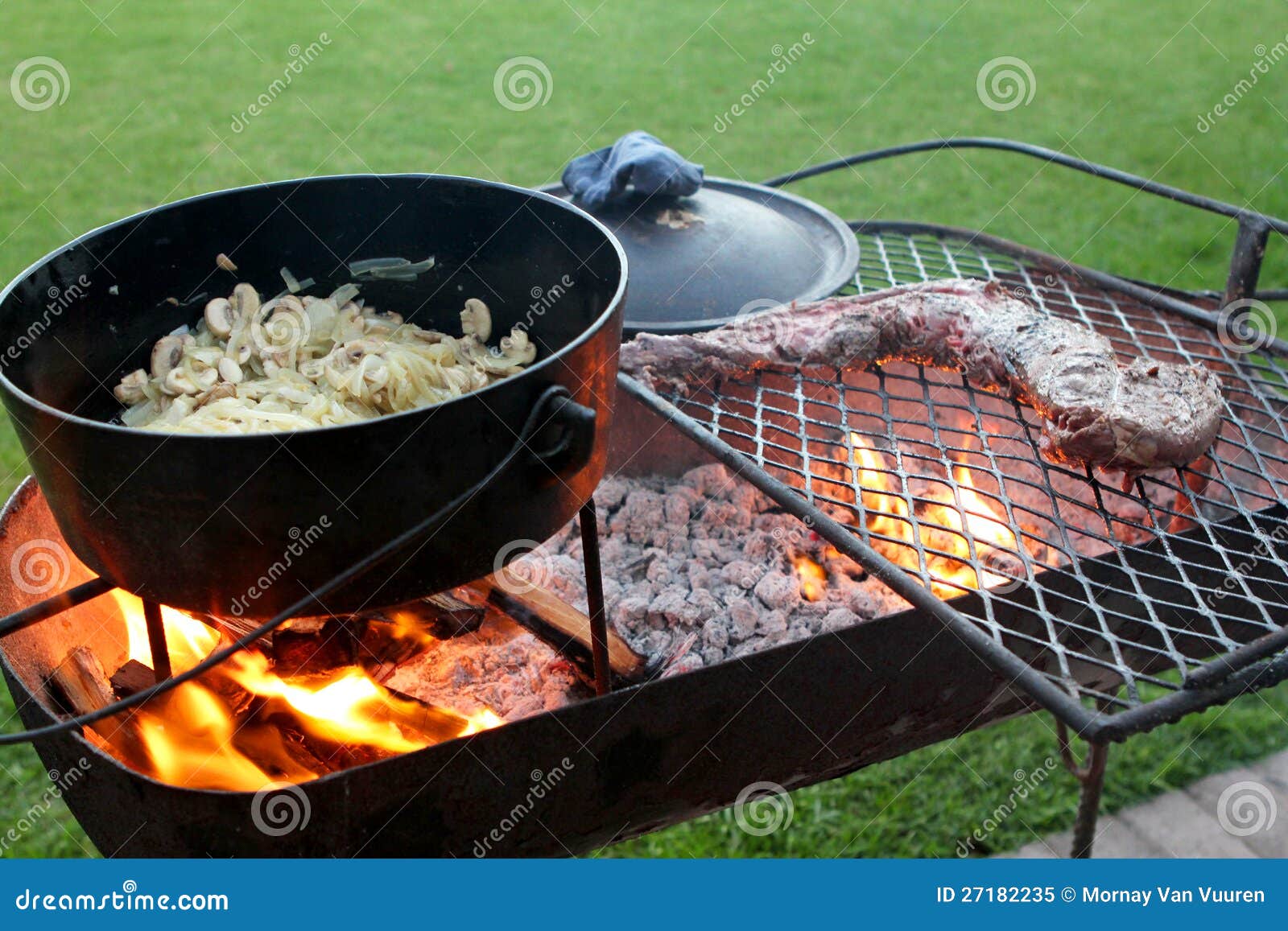 Braai with Meat and a Cast Iron Pot Stock Image - Image of cook ...