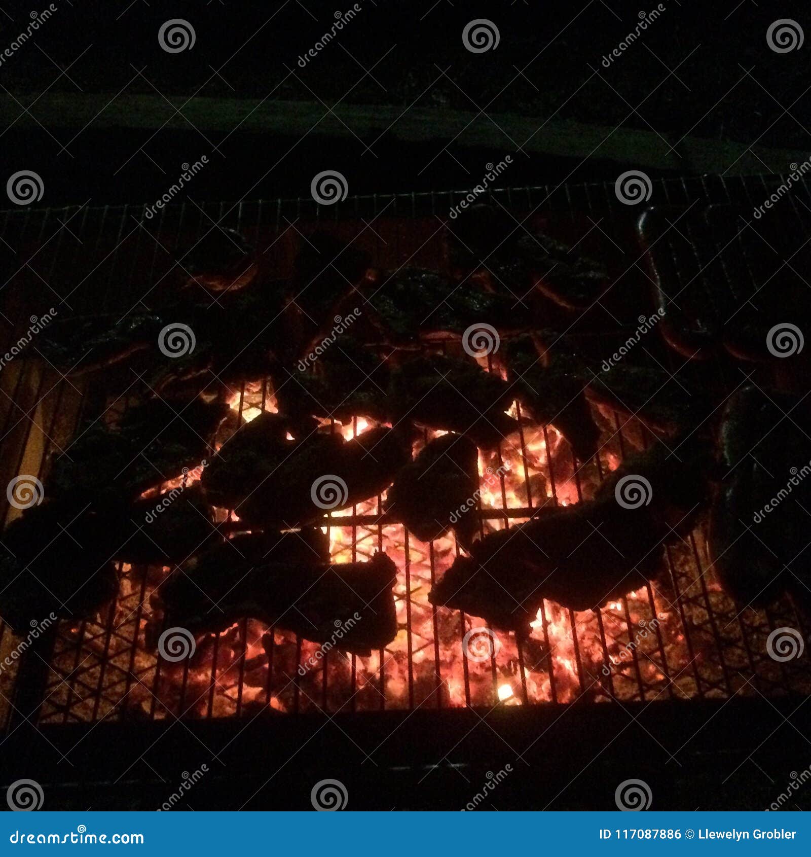 Braai Time Fire Coal stock photo. Image of african, fire - 117087886
