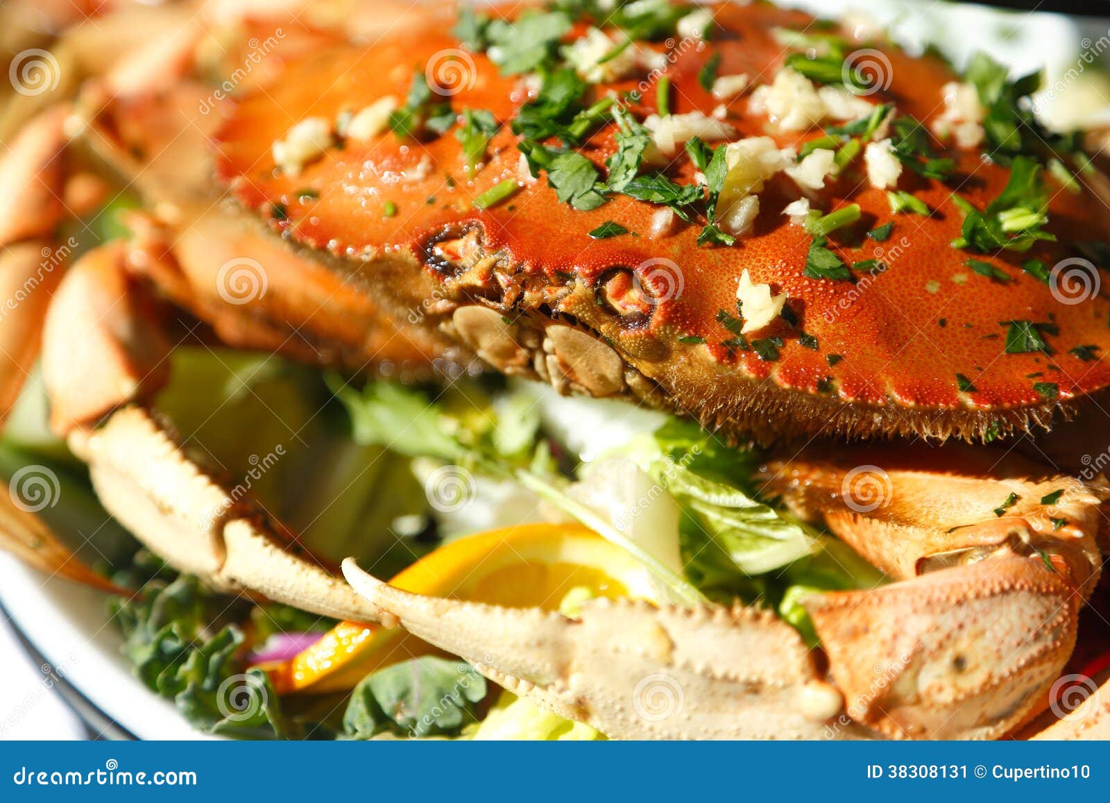 Brab stock afbeelding. Image of plaat, gekookt, krab - 38308131