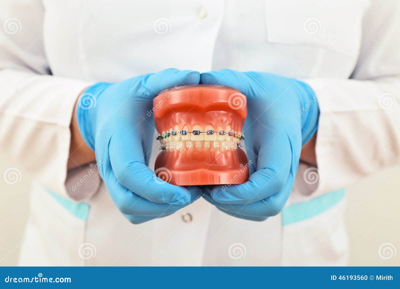 Braces model stock photo. Image of braces, presentation - 46193560