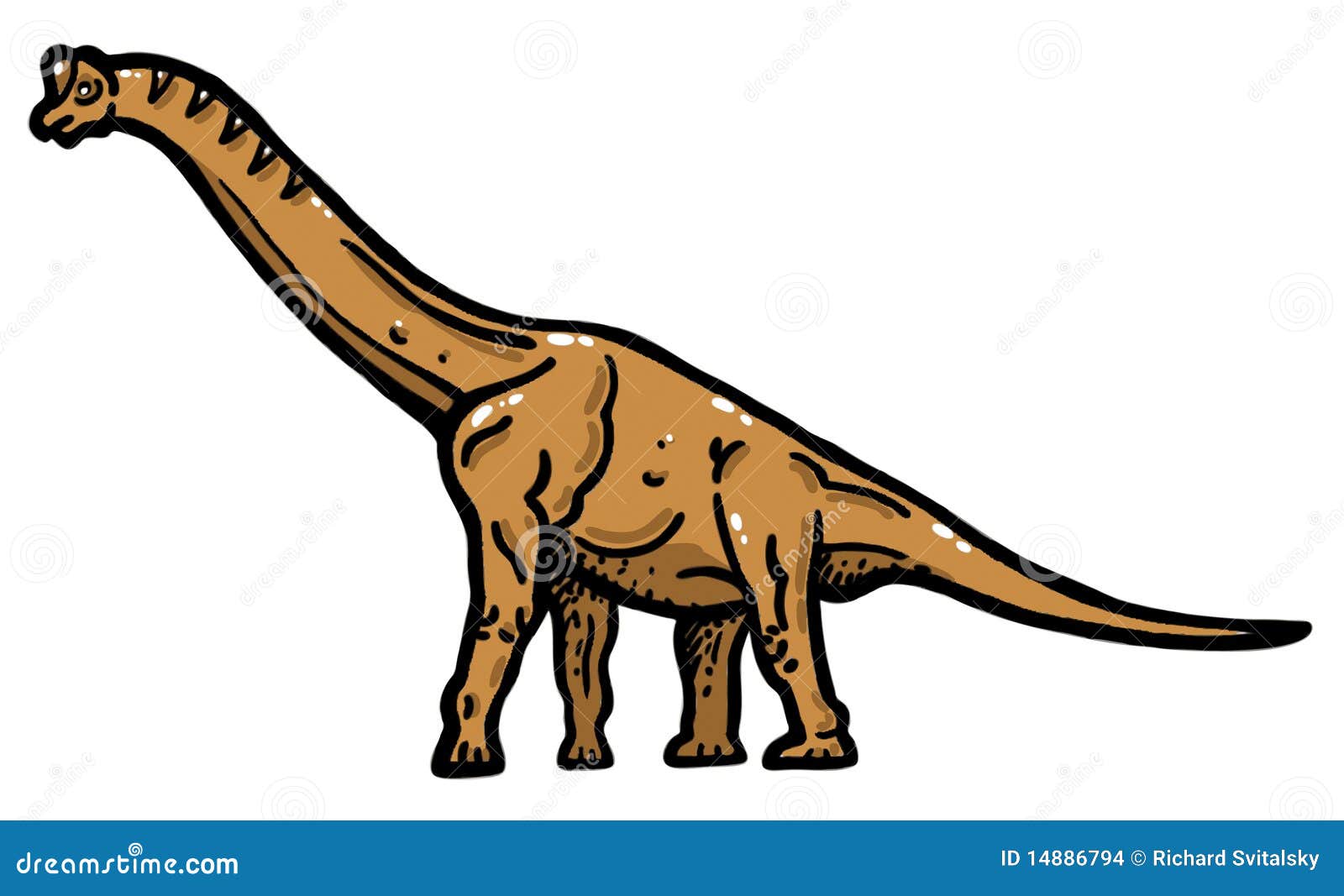 Brachiosaurus stock vector. Illustration of paleontology - 14886794