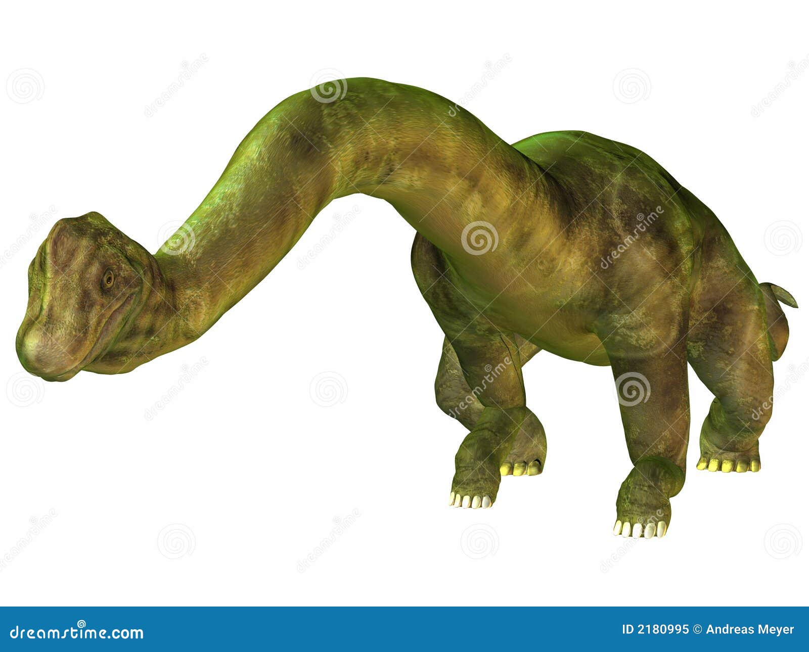 Brachiosaurus 01 Royalty-Free Stock Photography | CartoonDealer.com ...