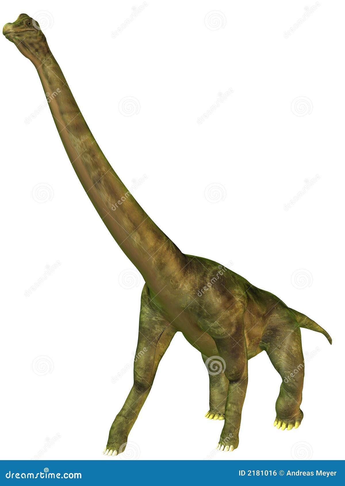 Brachiosaurus Royalty-Free Stock Image | CartoonDealer.com #2181016