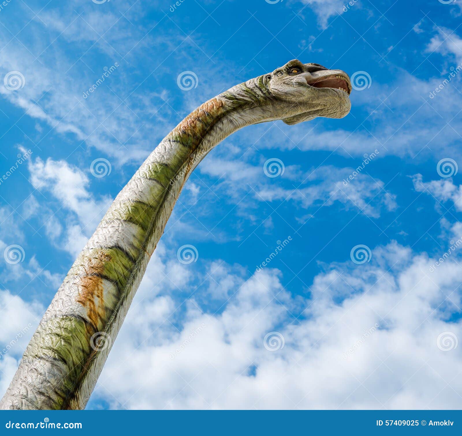 Brachiosaurus Realistic Model. Head Close Of Dinosaur Stock Photography ...