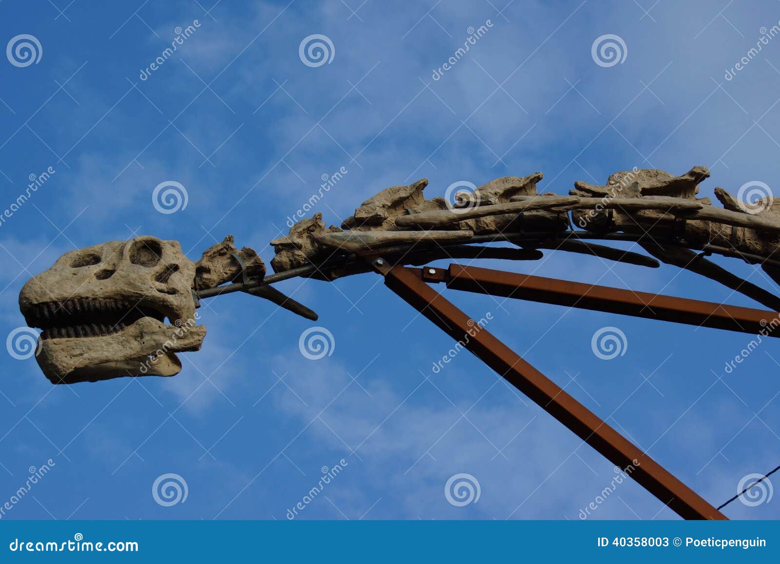 Brachiosaurus Altithorax,the Largest Dinosaur Had Long Neck Big Animal ...